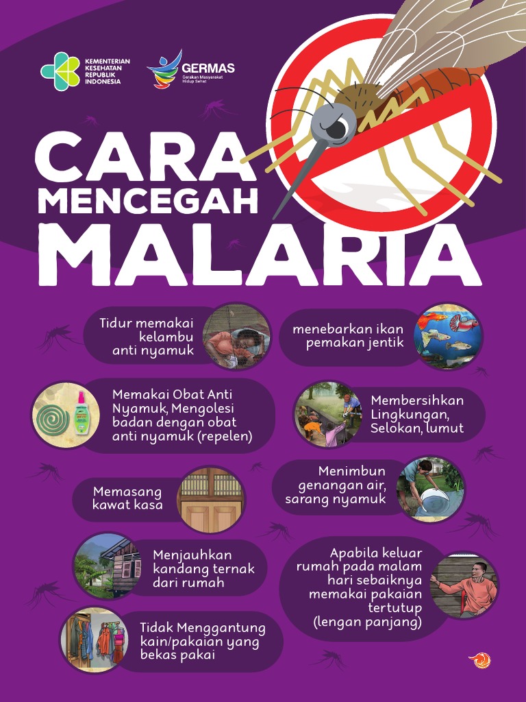 Mencegah Malaria dengan Berbagai Cara | PDF