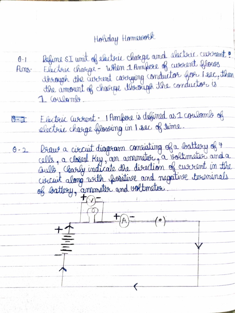Roshil Gupta Physics Holiday Homework | PDF