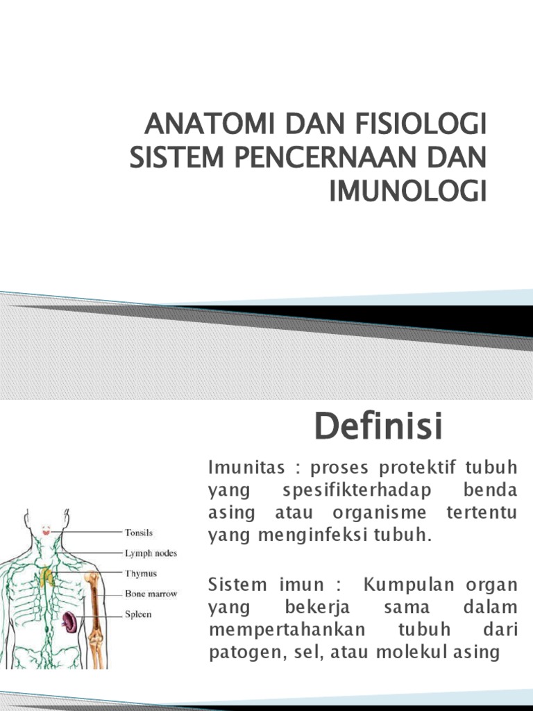 Anatomi dan Fisiologi Sistem Imun | PDF