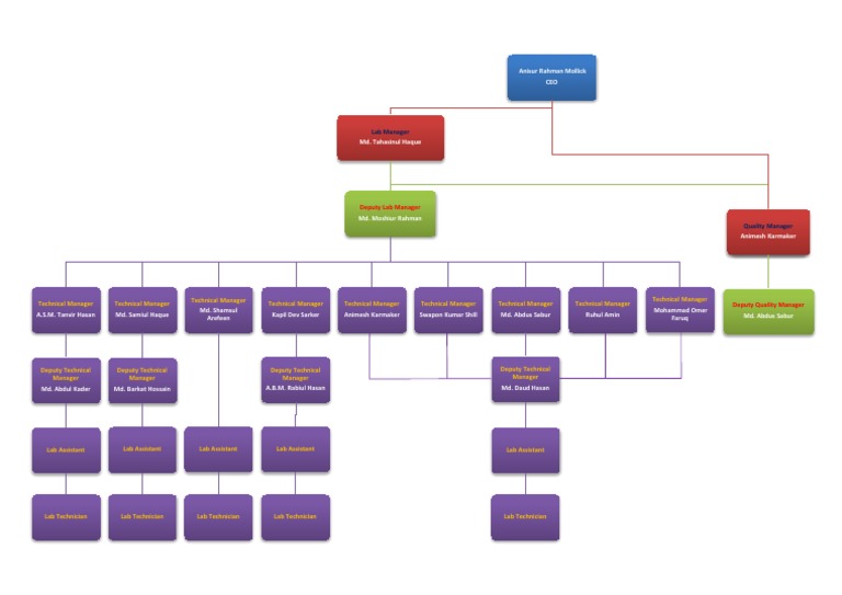 Lab Organogram - 3 | PDF
