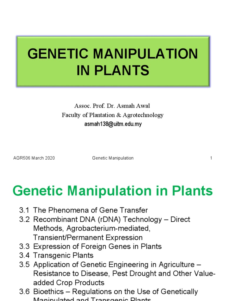 Genetic Manipulation in Plants: Assoc. Prof. Dr. Asmah Awal Faculty of ...