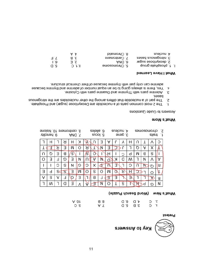 Module 3 Answer Key | PDF