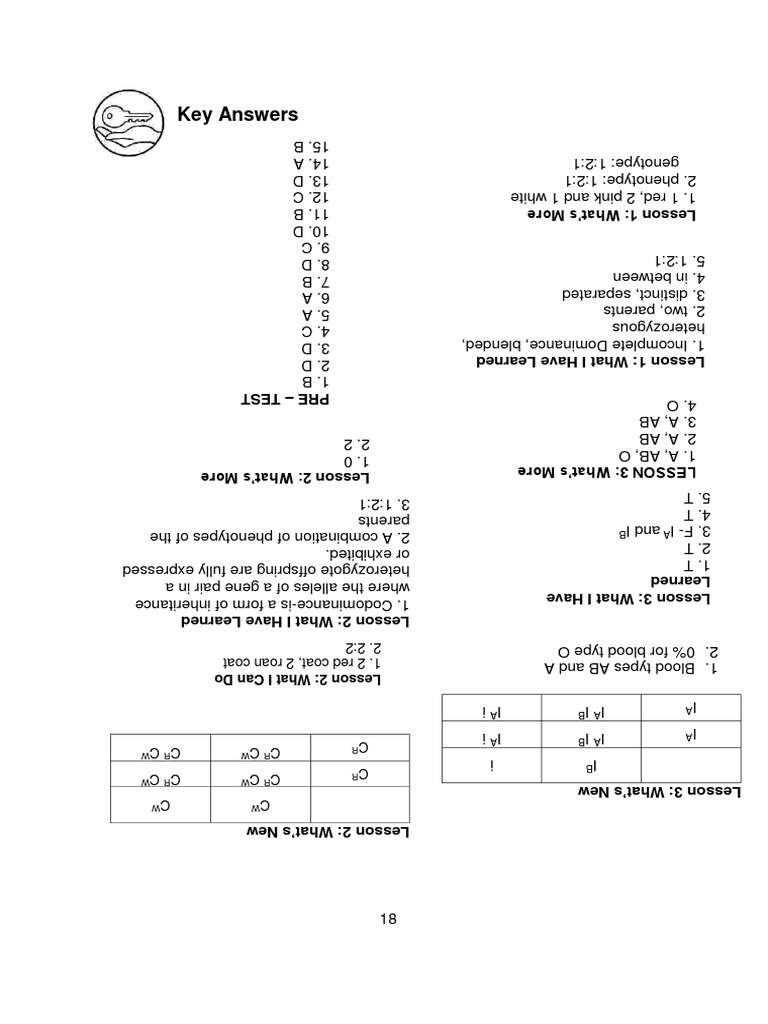 Module 4 Answer Key | PDF | Dominance (Genetics) | Allele