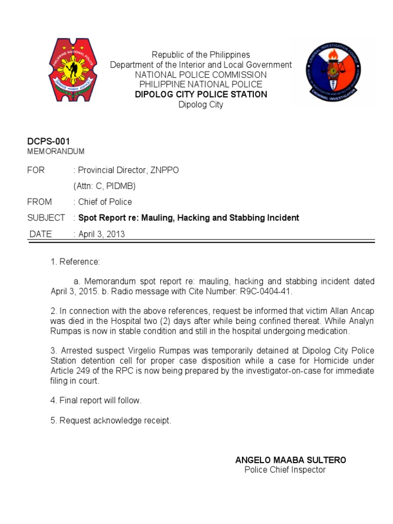 Mauling and Stabbing Incident Report | PDF | Crime & Violence ...