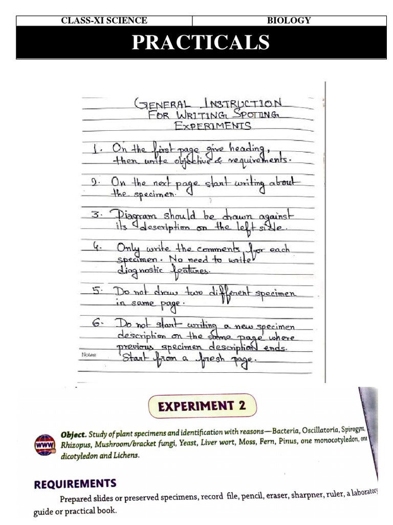 Class 11 Biology Practical Spotting-2 | PDF