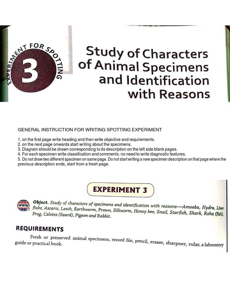 Biology Practical Spotting-3 | PDF