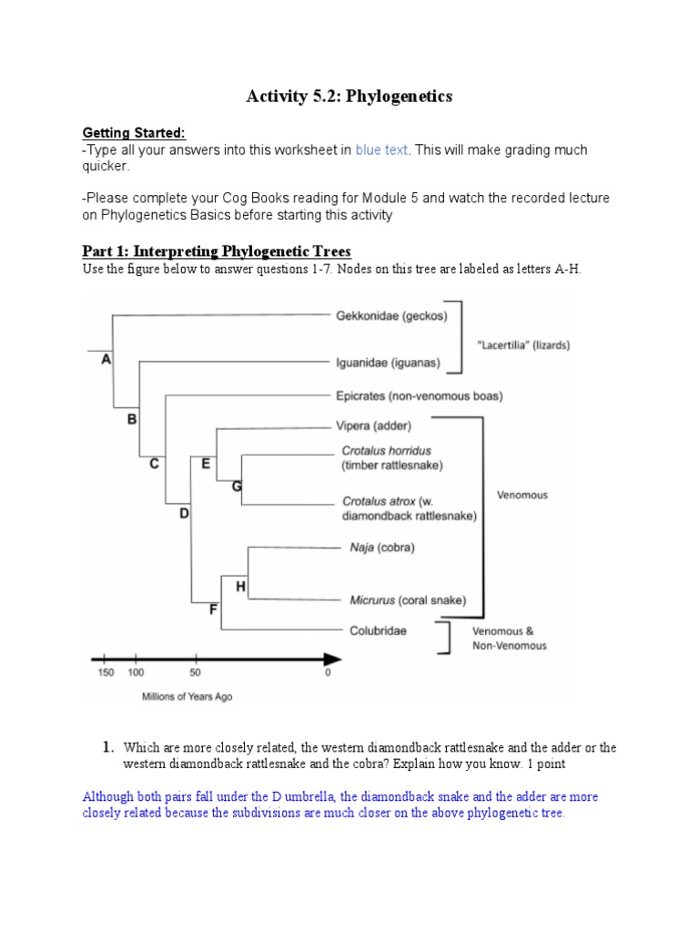 Phylogenetics Activity 5.2 Worksheet | PDF | Evolution | Phylogenetic Tree