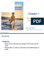 Anatomical Position Worksheet | PDF | Anatomical Terms Of Location ...