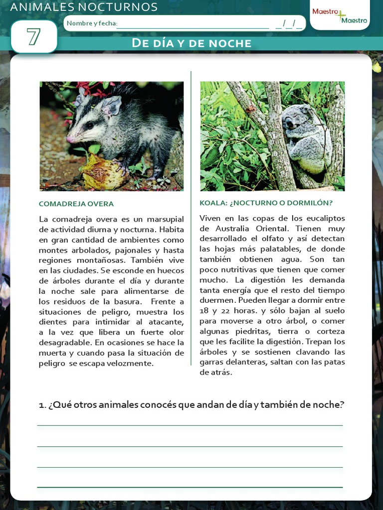 Animales Nocturnos. FICHA 7 | PDF