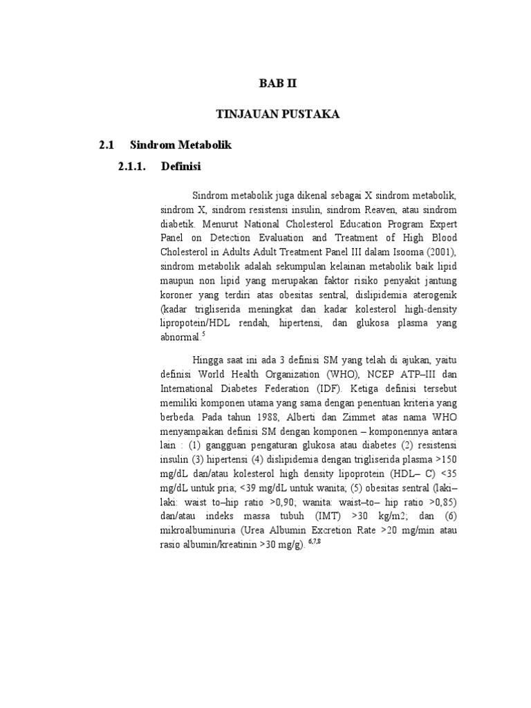 Sindrom Metabolik BAB II - 2 | PDF