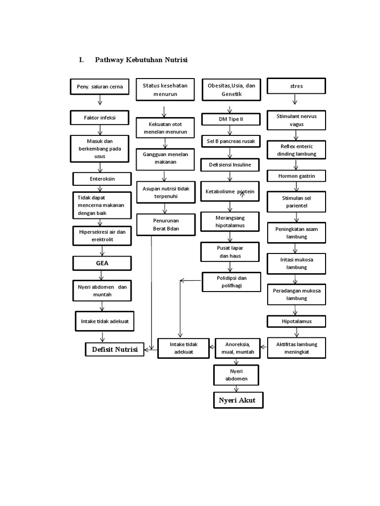 Pathway Gangguan Kebutuhan Nutrisi | PDF