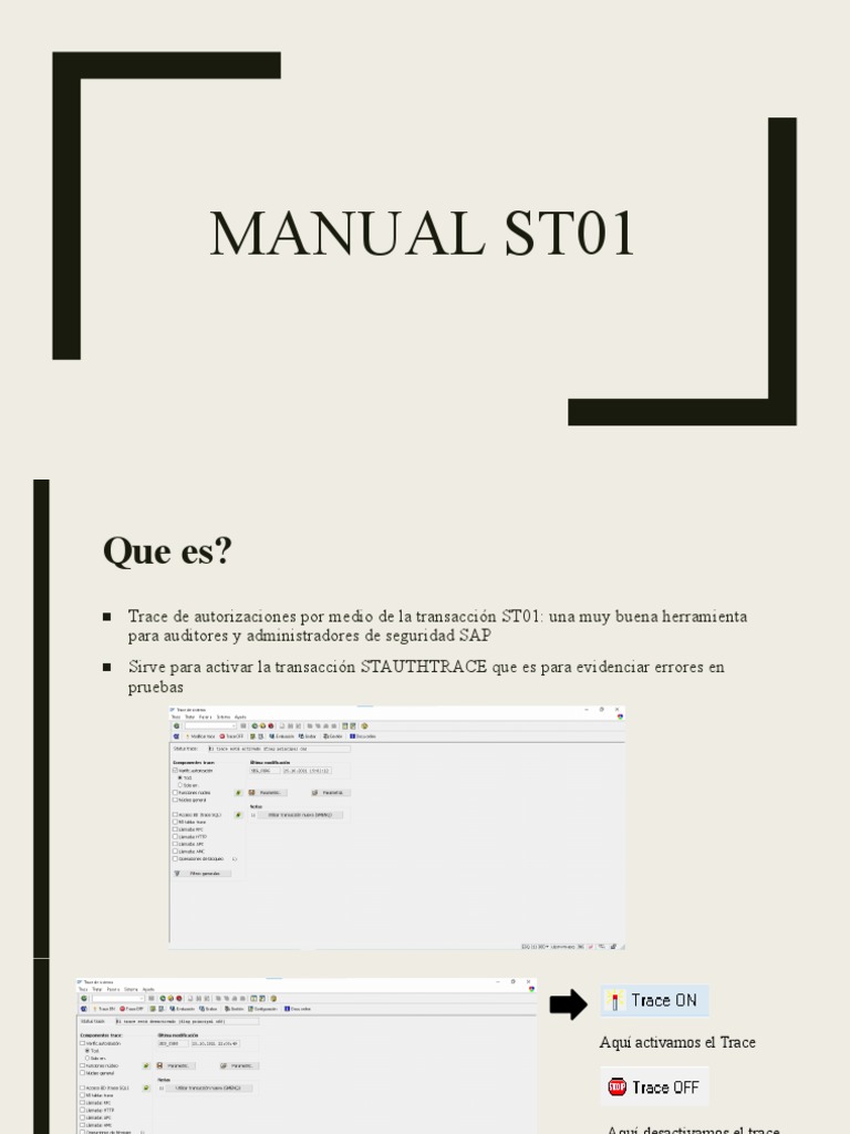 Guía de Uso de ST01 en SAP | PDF | Negocios
