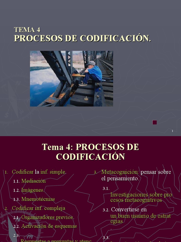 T4 Procesos de Codificacion | PDF | Aprendizaje | Memoria