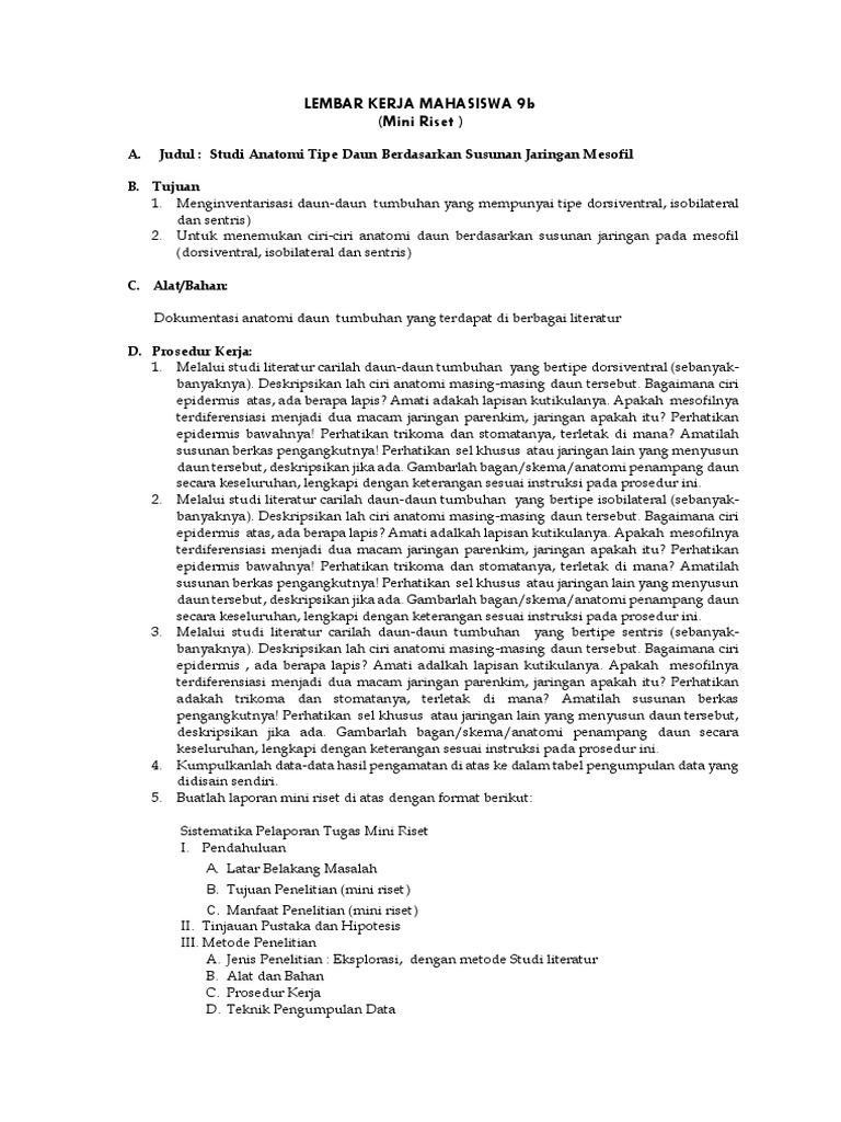 LKM 9b Anatomi Daun (Mini Riset) | PDF