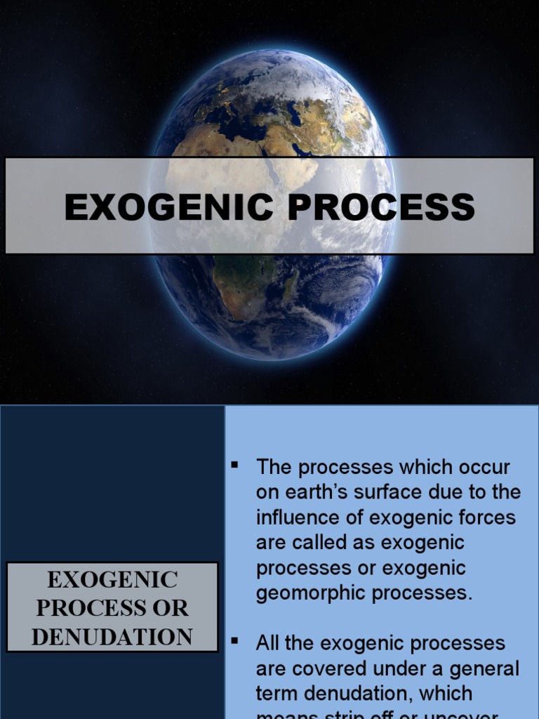 Exogenic Process | PDF | Weathering | Erosion