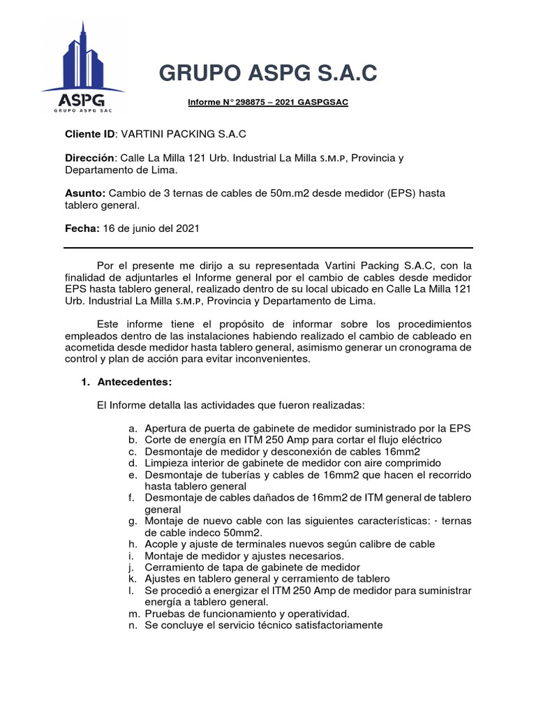Informe Cambio de Cable Vatini Packing | PDF | Electromagnetismo ...