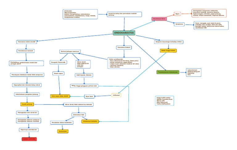 Endokarditis: Gejala dan Penyebabnya | PDF