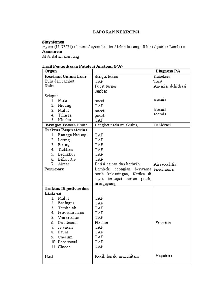 Laporan 2 U173 | PDF