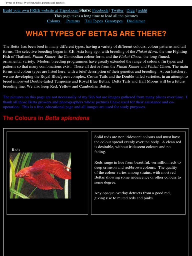 Betta Fish | PDF | Dominance (Genetics) | Blue