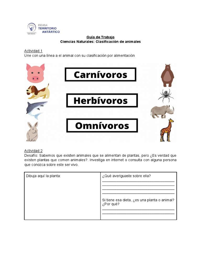 Actividades de Clasificación de Animales | PDF | Salud y bienestar