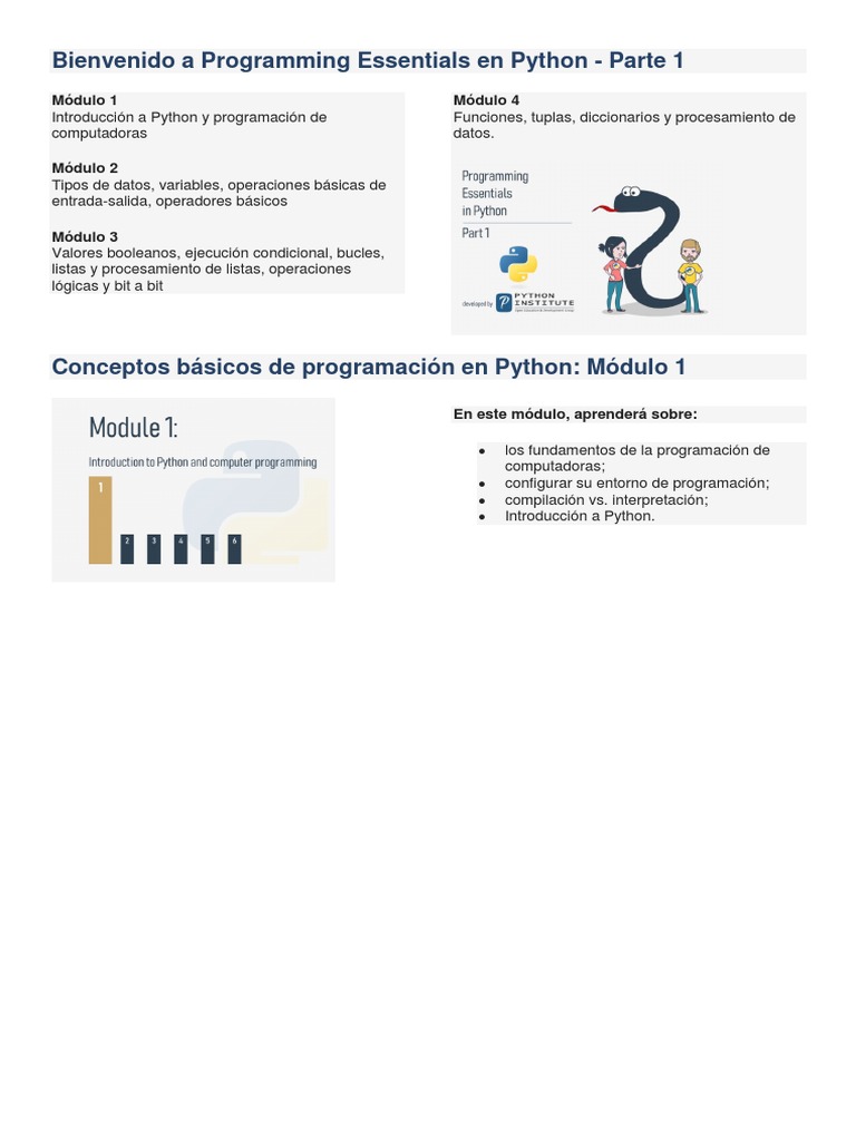 Modulo 1 - Python Programing | PDF | Compilador | Lenguaje de programación