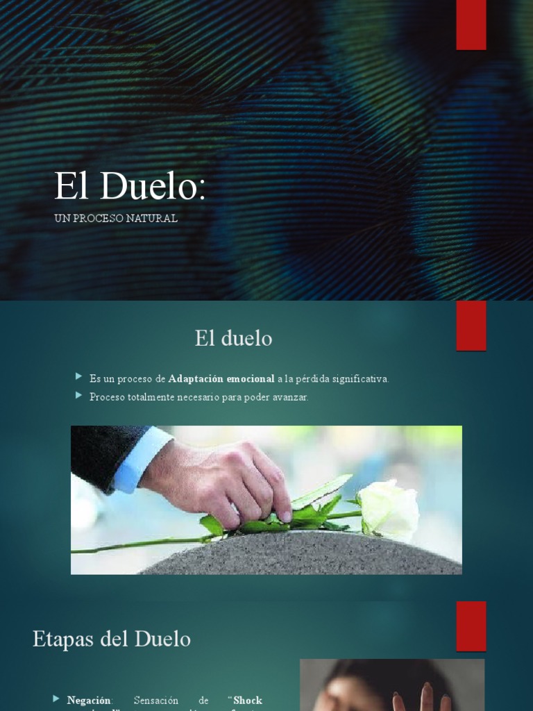 Etapas y Proceso del Duelo Emocional | PDF | Dolor | Las emociones