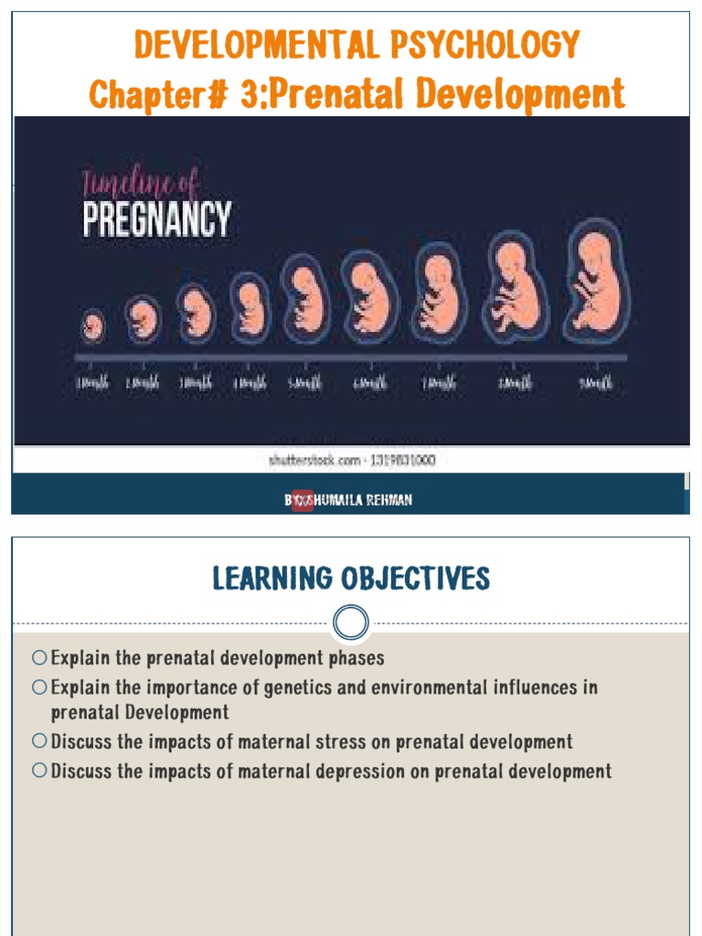 Chapter#3 Developmental Psychology | PDF | Prenatal Development | Fetus
