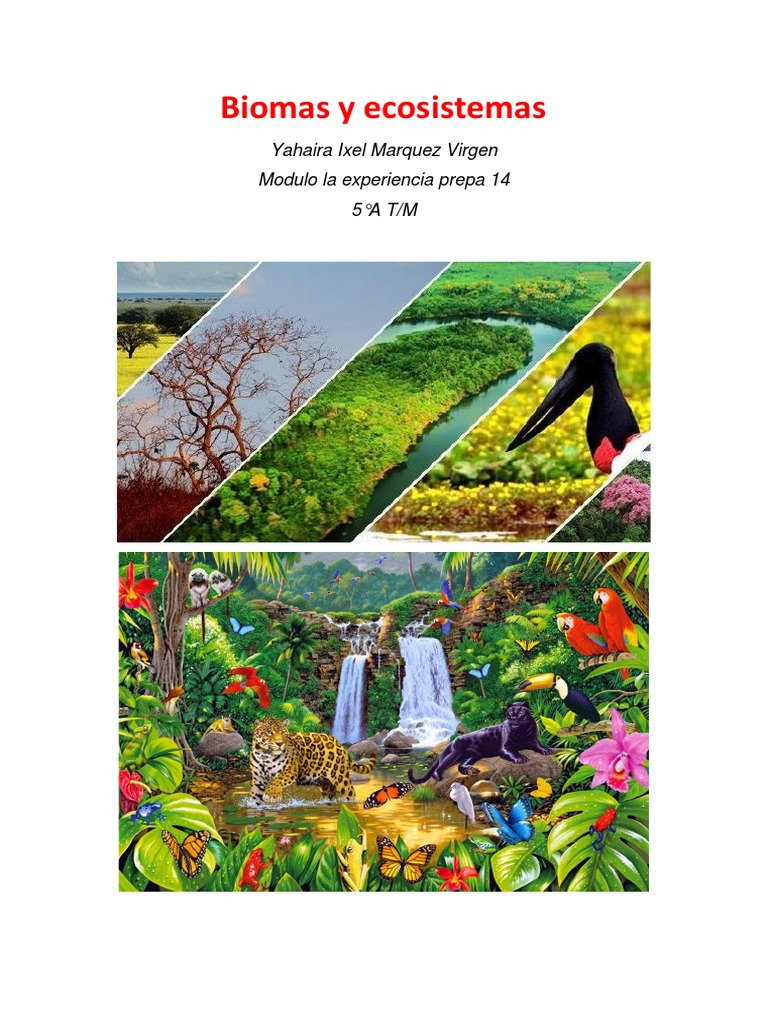 Biomas y Ecosistemas | PDF | Ecosistema | Suelo