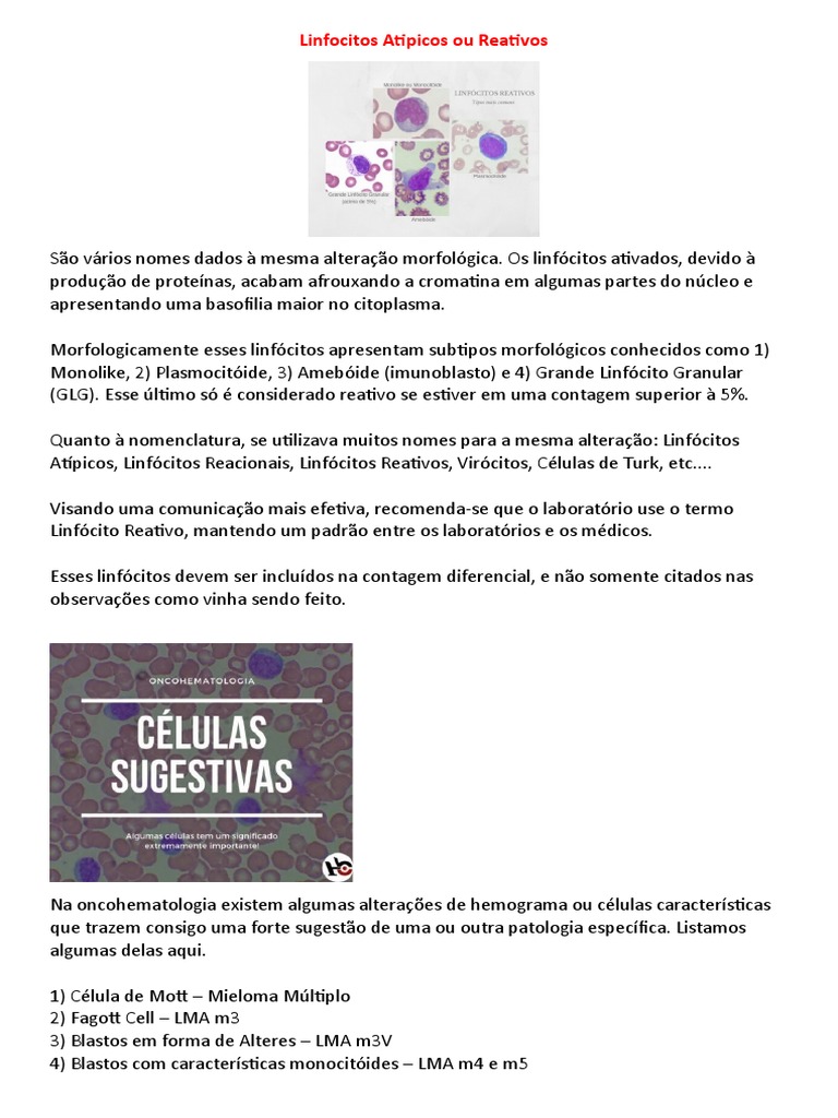 Linfócitos Atípicos ou Reativos: Características e Importância | PDF ...