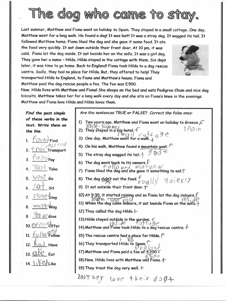 The Dog Who Came To Stay | PDF