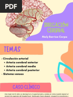 Diapositivas. FÁRMACOS INOTRÓPICOS | PDF | Farmacología | Fisiología ...