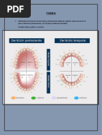Nomenclatura Dentaria - El Código Internacional (FDI) | PDF | Diente ...