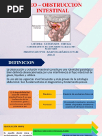 Clase Ileo Obstructivo y No Obstructivo | PDF | Intestino grueso | Abdomen