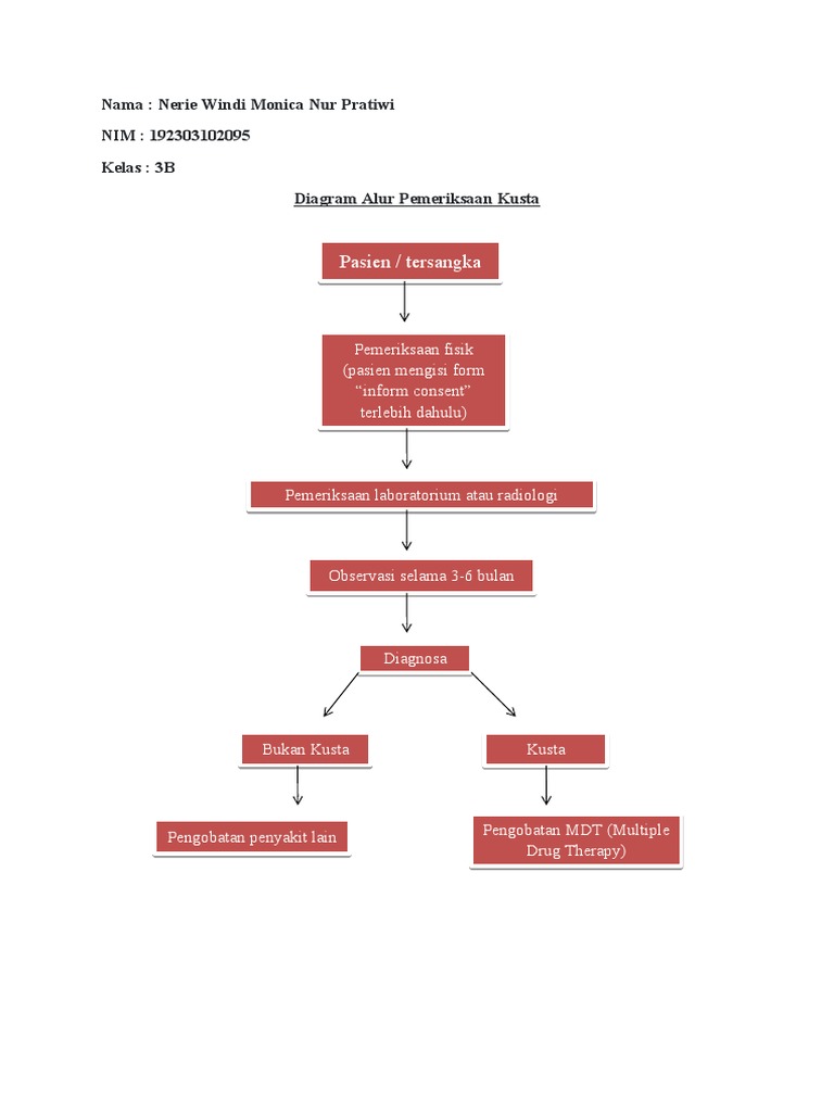 Diagram Alur Dan Prosedur Pemeriksaan Kusta | PDF