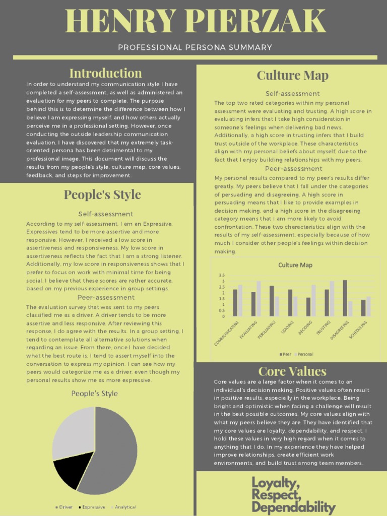 Professional Persona Executive Summary Henry Pierzak | PDF | Value ...