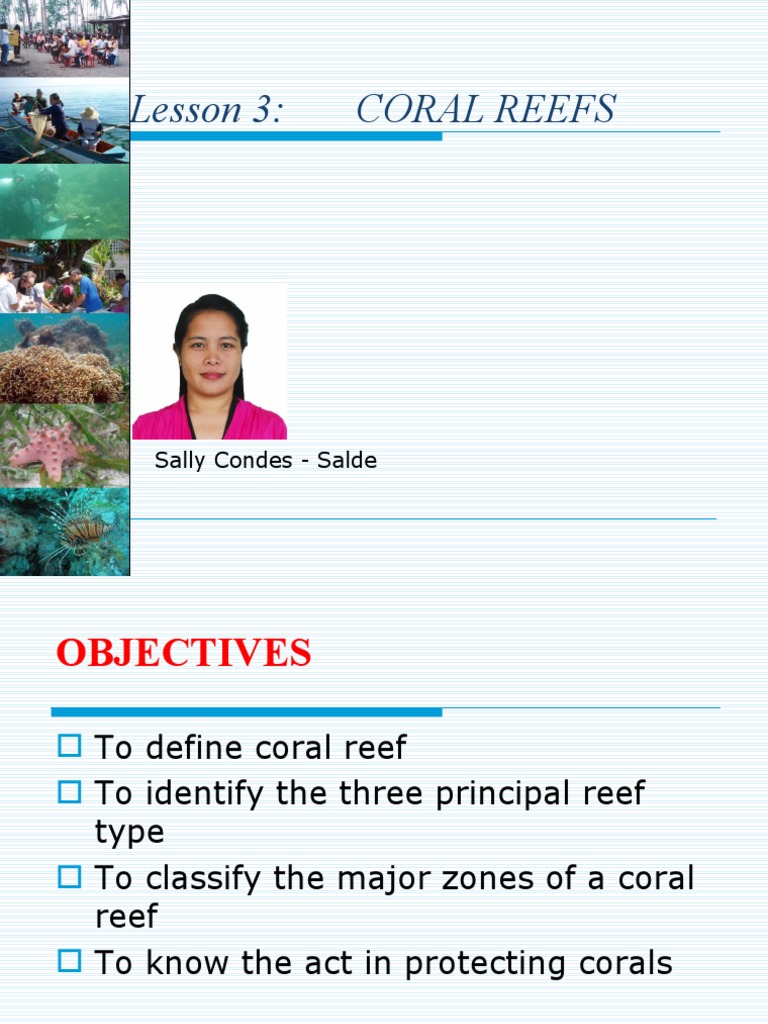 Lesson 3 Coral Reefs | PDF | Coral Reef | Lagoon