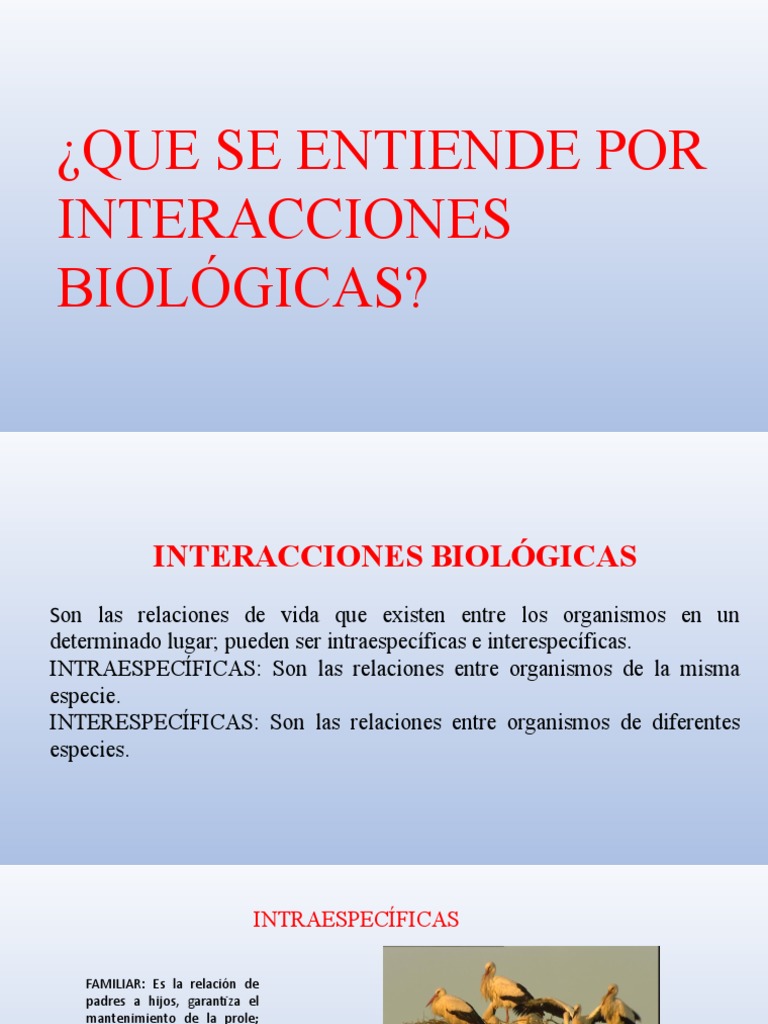 Interacciones Biológicas | PDF | Simbiosis | Biogeografia