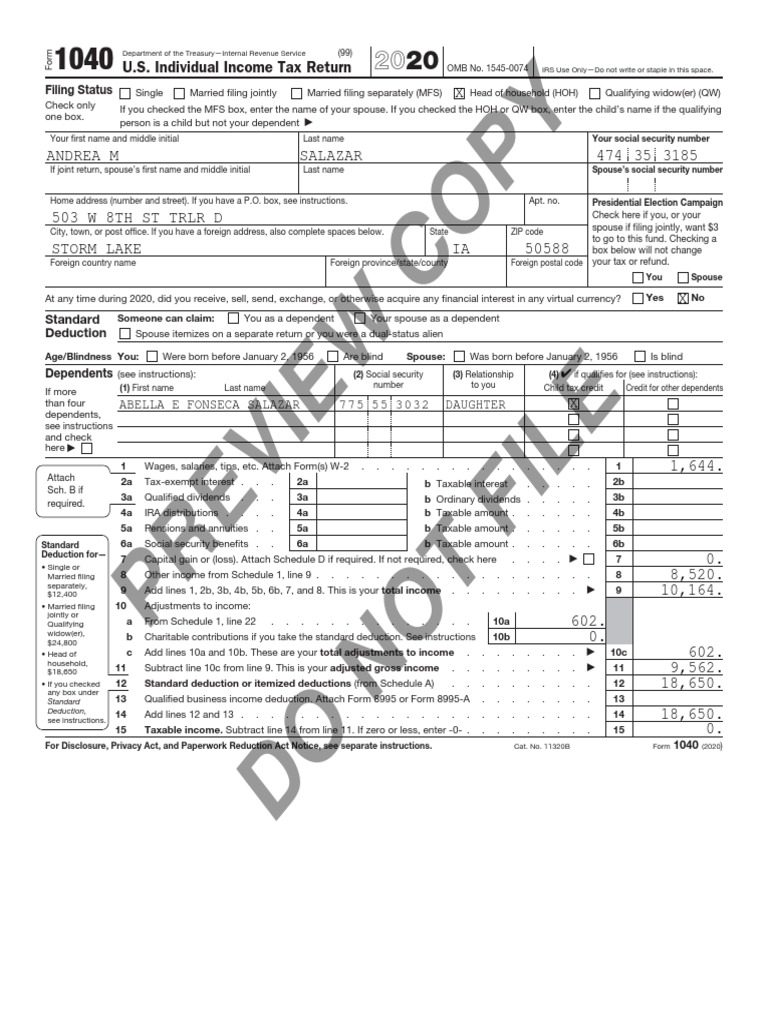 Andrea 2020 Federal Income Tax Return | PDF | Irs Tax Forms | Expense