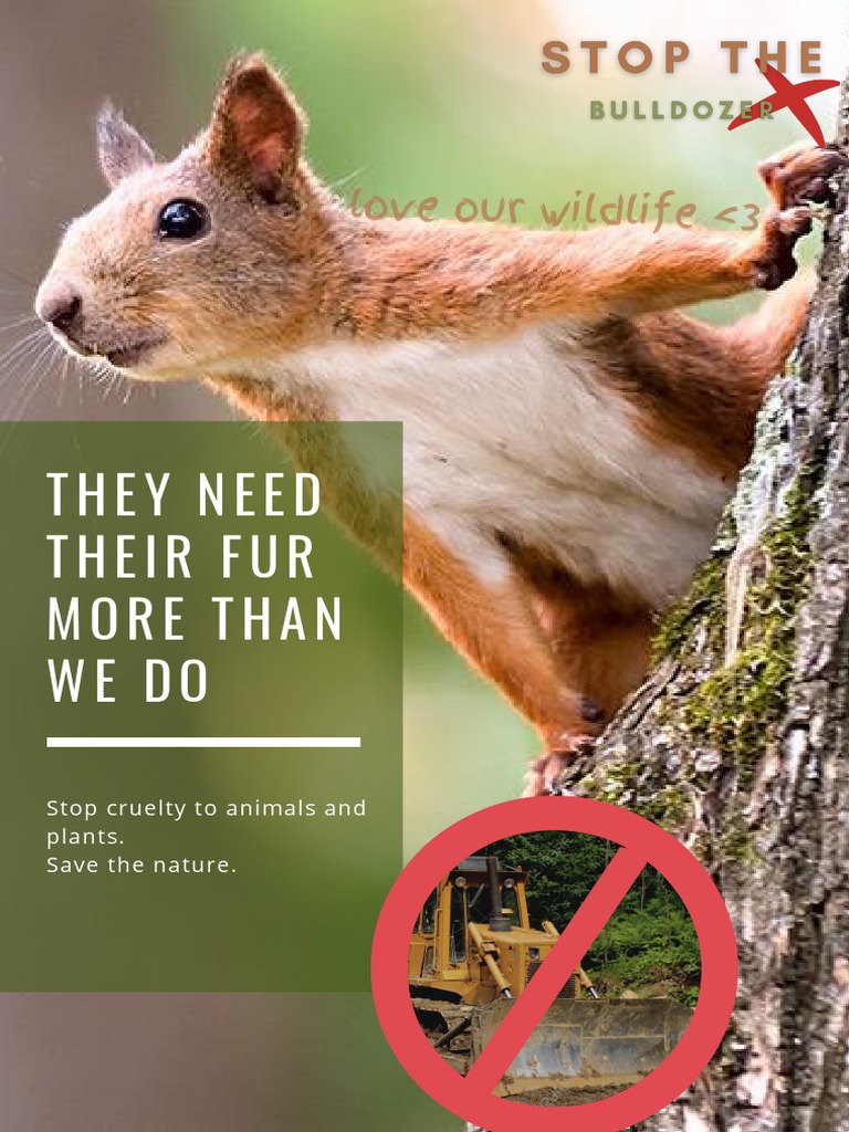 Poster Stop The Bulldozer | PDF