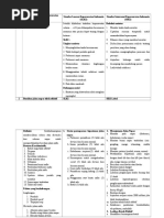 Sdki Resiko Infeksi | PDF