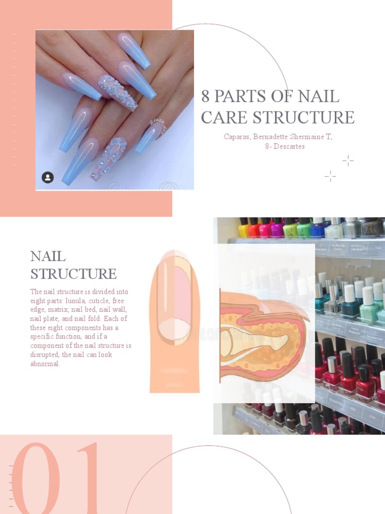 8 Parts of Nail Care Structure | PDF | Nail (Anatomy) | Skin