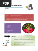 Lampiran 2 Sintak Inkuiri Terbimbing | PDF