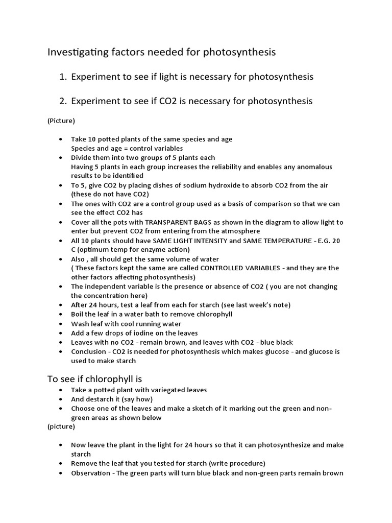Investigating Factors Needed For Photosynthesis | PDF | Photosynthesis ...