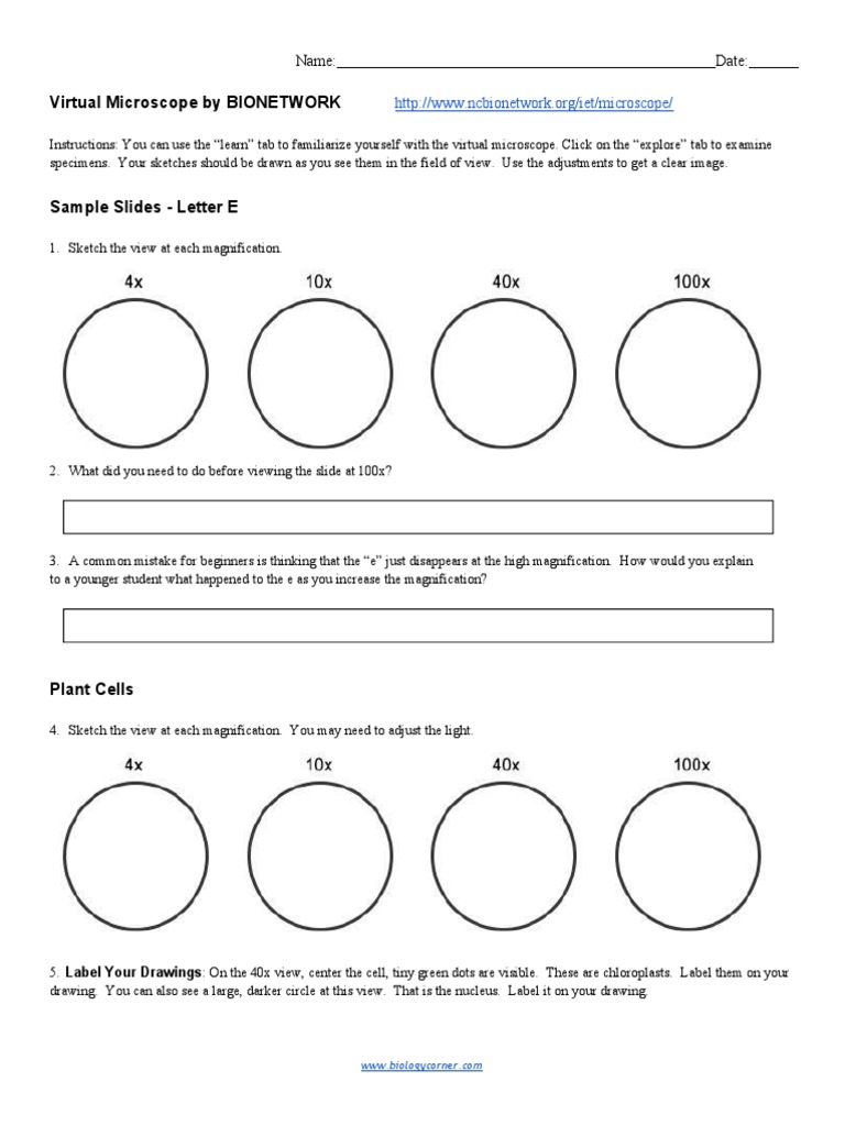 Virtual Microscope by BIONETWORK | PDF | White Blood Cell | Microscope