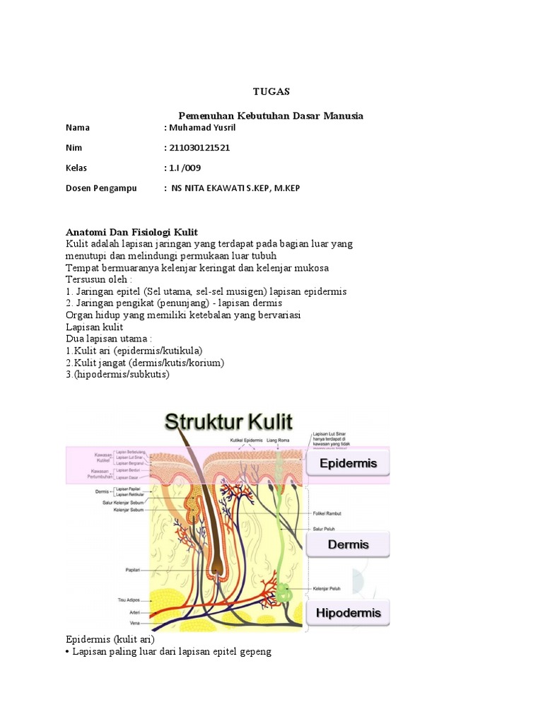 Tugas Pertemuan 6 PKDM | PDF