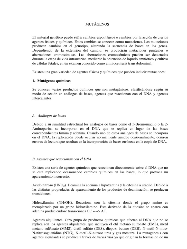 Agentes Mutagénicos | PDF | Mutageno | Adn