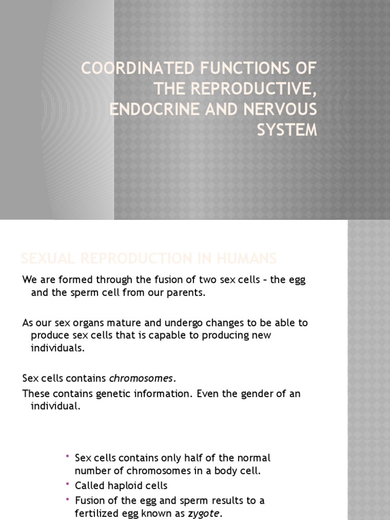 Coordinated Functions of The Reproductive, Endocrine And2 | PDF | Menstrual Cycle | Ovary