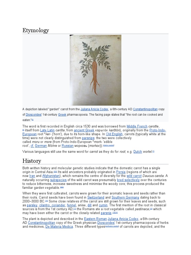 The History and Etymology of Carrots: From Ancient Roots to Modern ...
