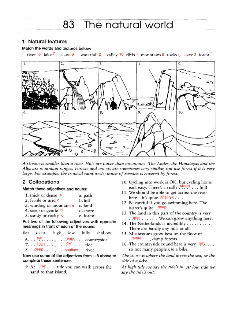 Extra Vocab The Natural World | PDF | Geography | Physical Geography