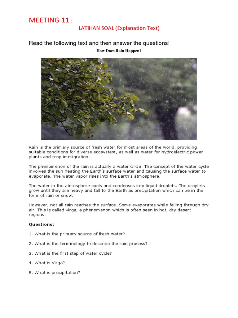 Meeting 11: Read The Following Text and Then Answer The Questions! | PDF